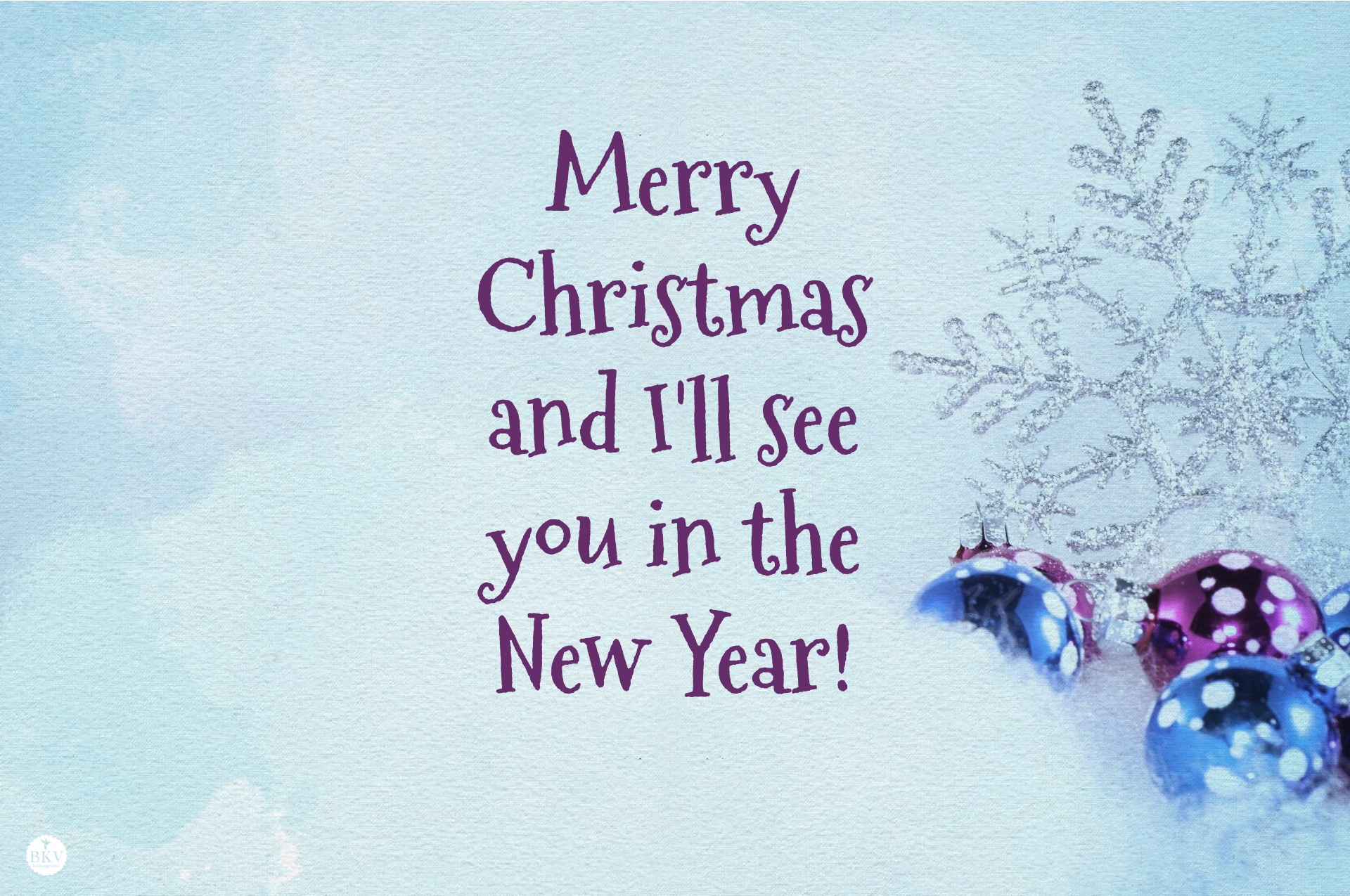 Merry Christmas and I'll See You in the New Year - Beth K. Vogt